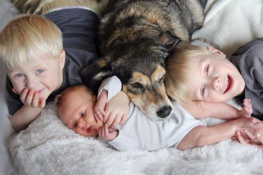 ¿Cómo preparar al perro para que conviva con un bebé?